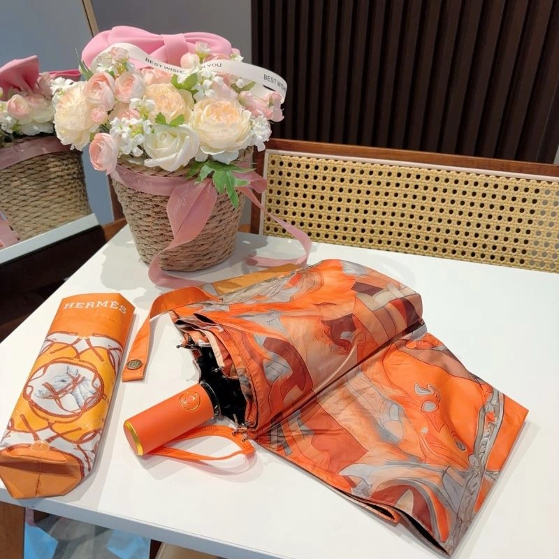 Value-priced Hermes Umbrella