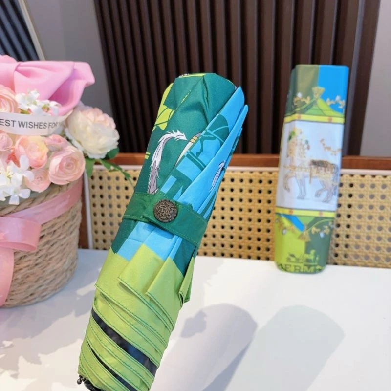 Discounted Hermes Umbrella