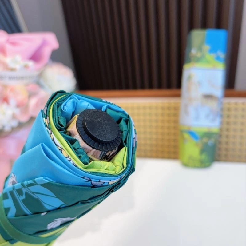 Discounted Hermes Umbrella