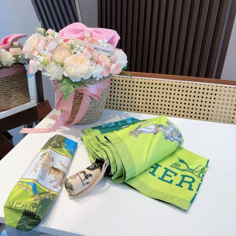 Discounted Hermes Umbrella
