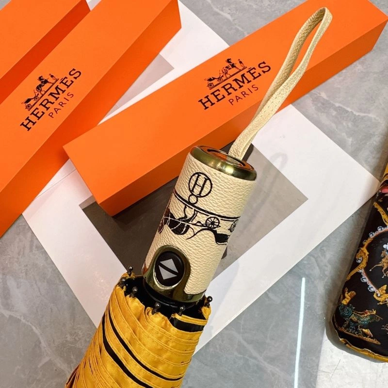 Discounted Hermes Umbrella