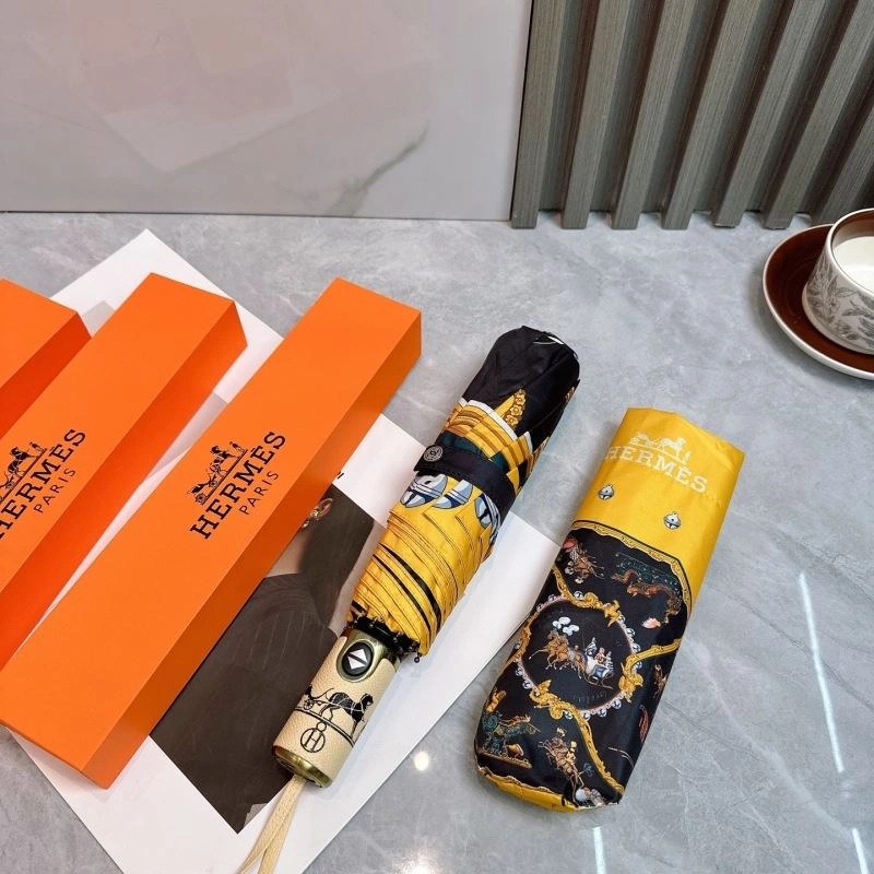 Discounted Hermes Umbrella
