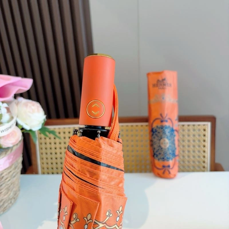 Top match Hermes Umbrella