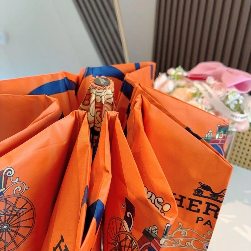 Top match Hermes Umbrella