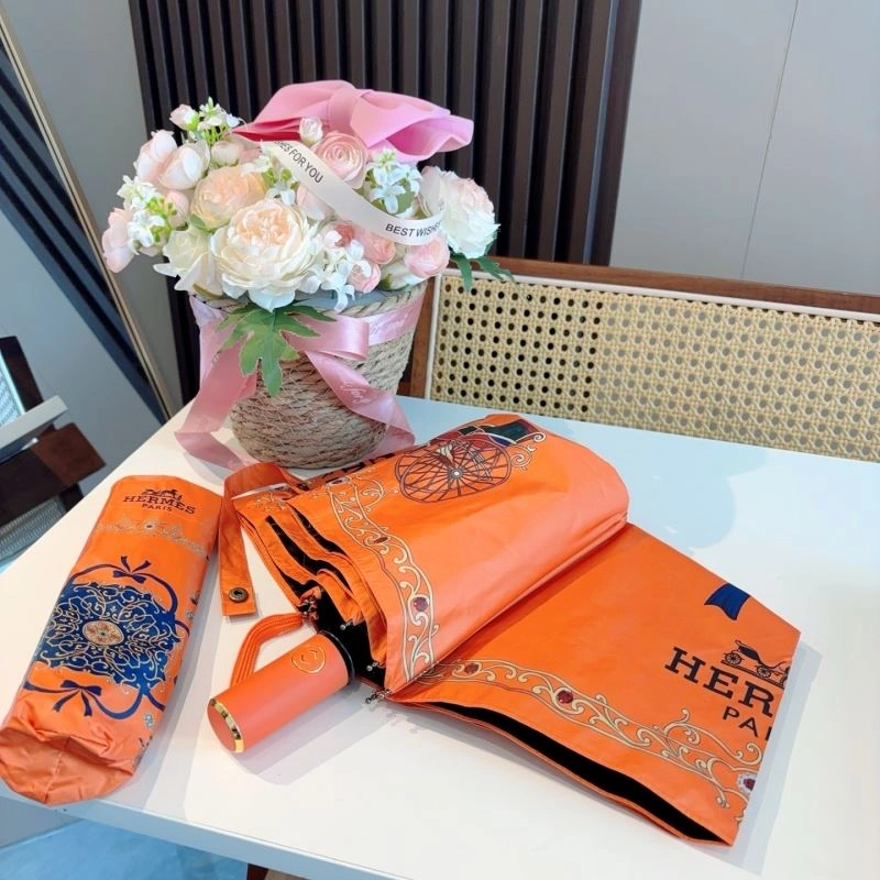 Top match Hermes Umbrella