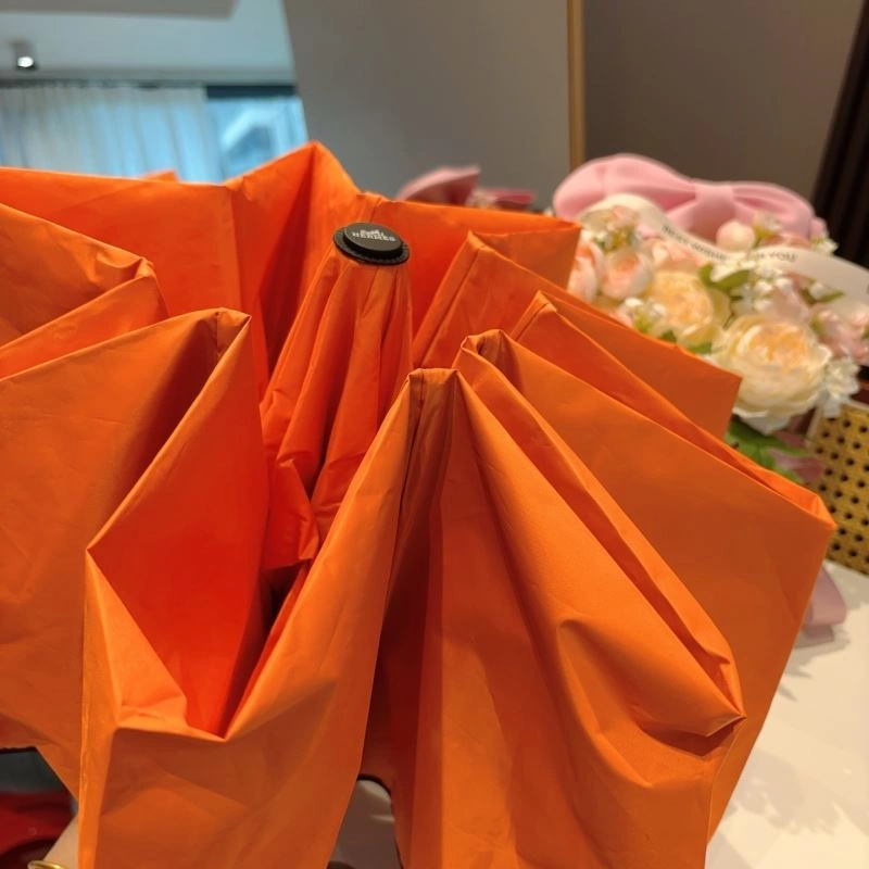 Budget-friendly Hermes Umbrella
