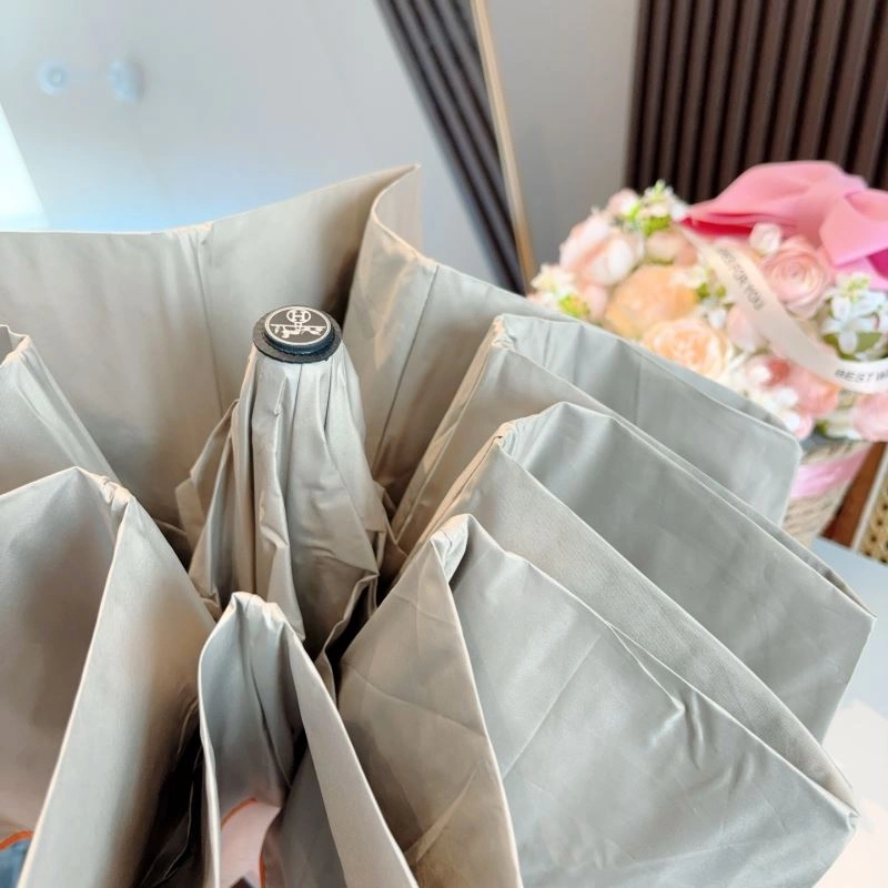 Reasonably priced Hermes Umbrella