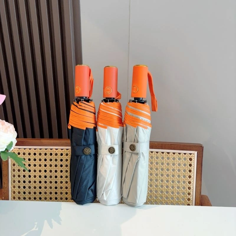 Hermes Umbrella