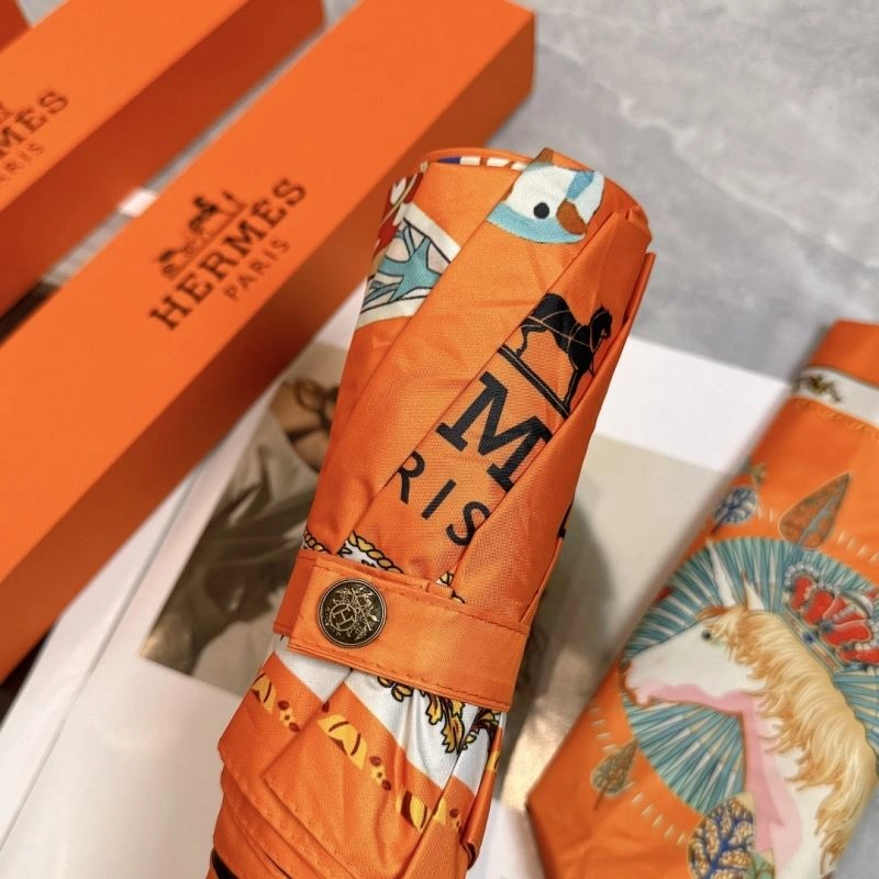 Top mirror Hermes Umbrella
