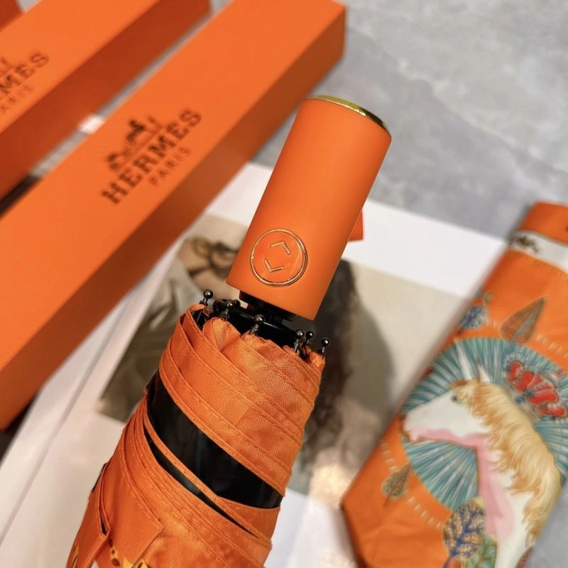 Top mirror Hermes Umbrella