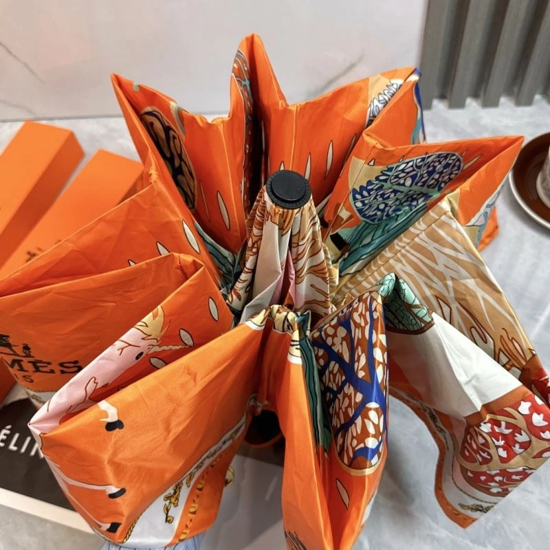 Top mirror Hermes Umbrella