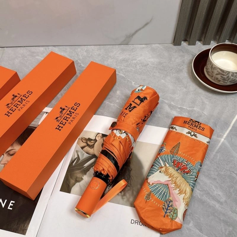 Top mirror Hermes Umbrella