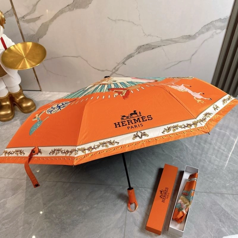 Top mirror Hermes Umbrella