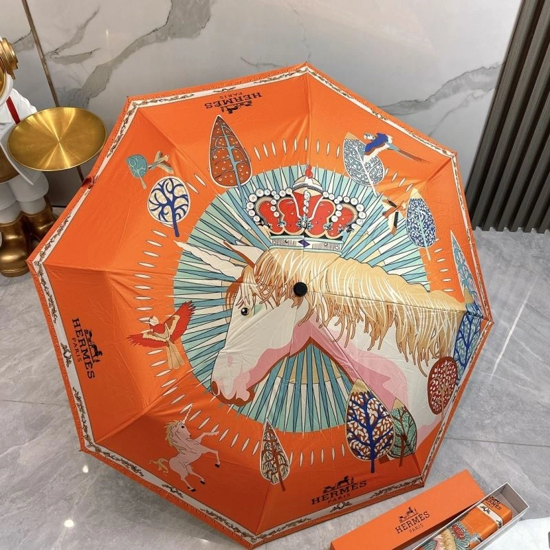 Top mirror Hermes Umbrella
