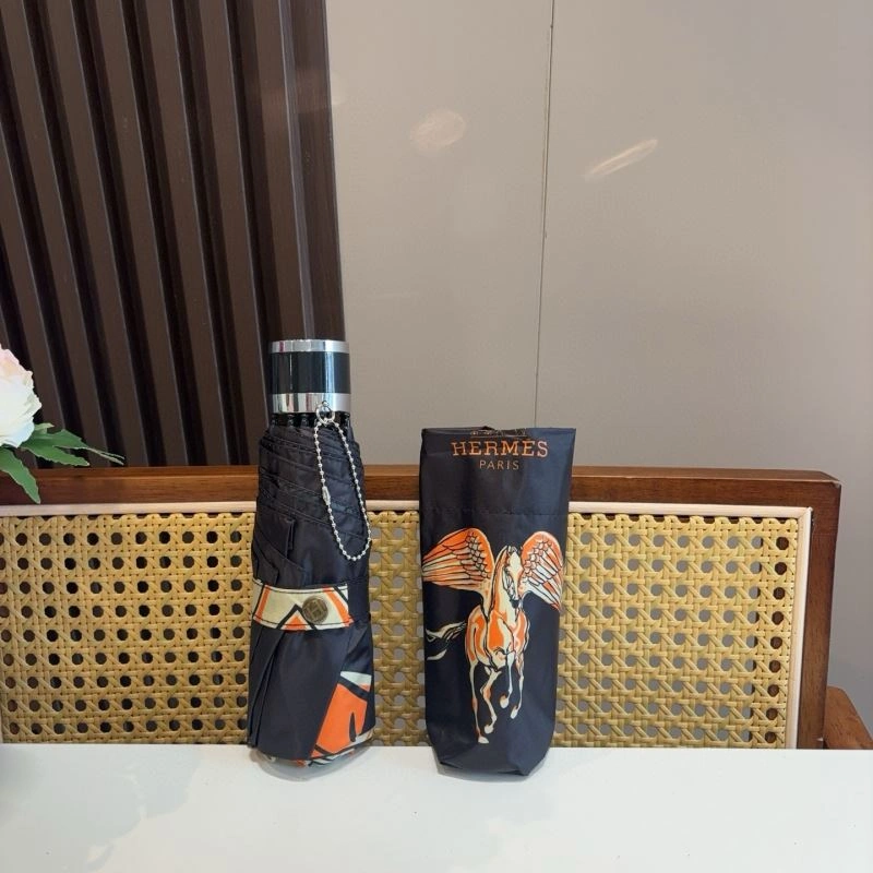 Discounted Hermes Umbrella
