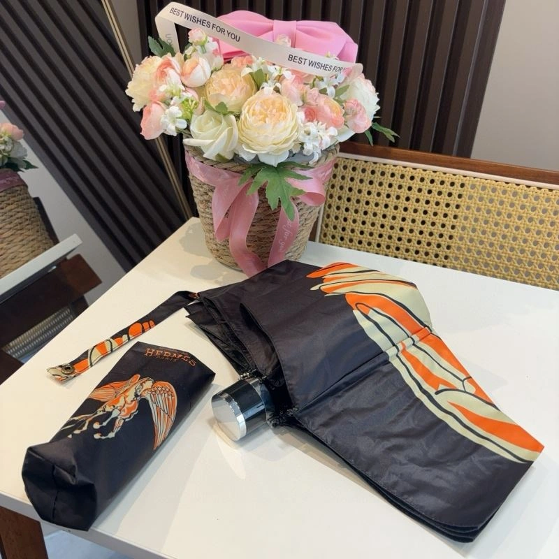 Discounted Hermes Umbrella