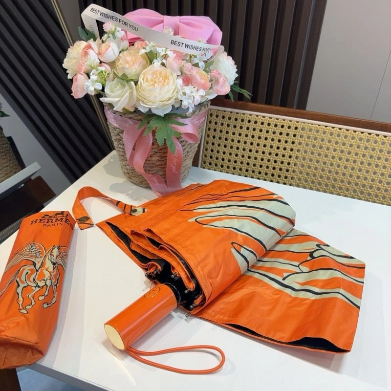 Inexpensive Hermes Umbrella