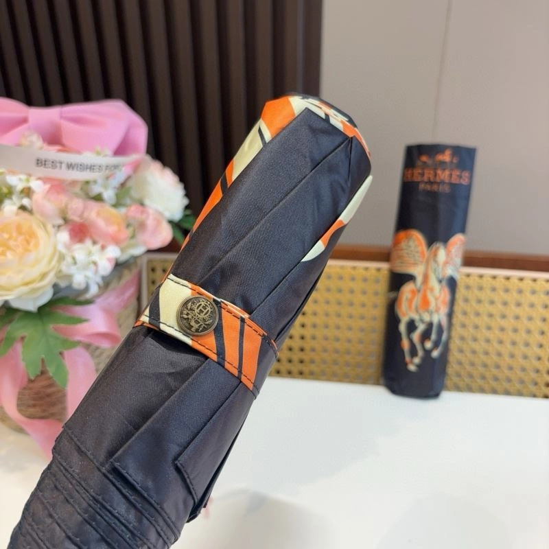 Original Hermes Umbrella