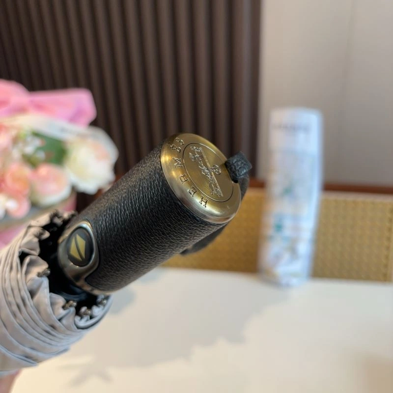 Value-priced Hermes Umbrella