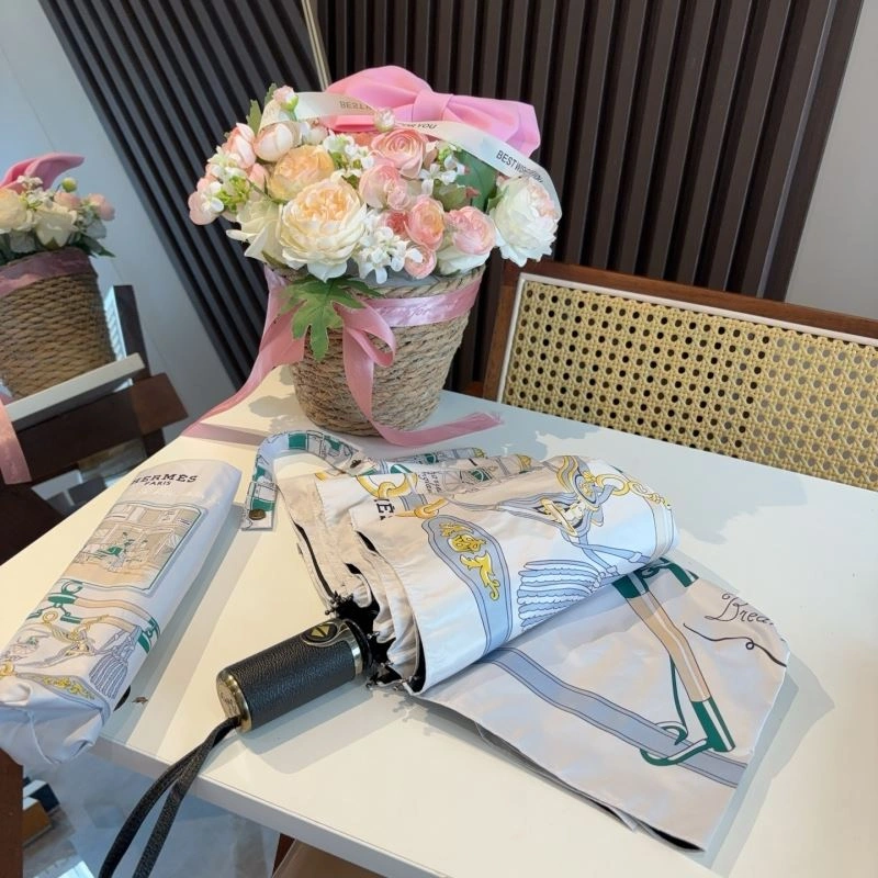 Value-priced Hermes Umbrella