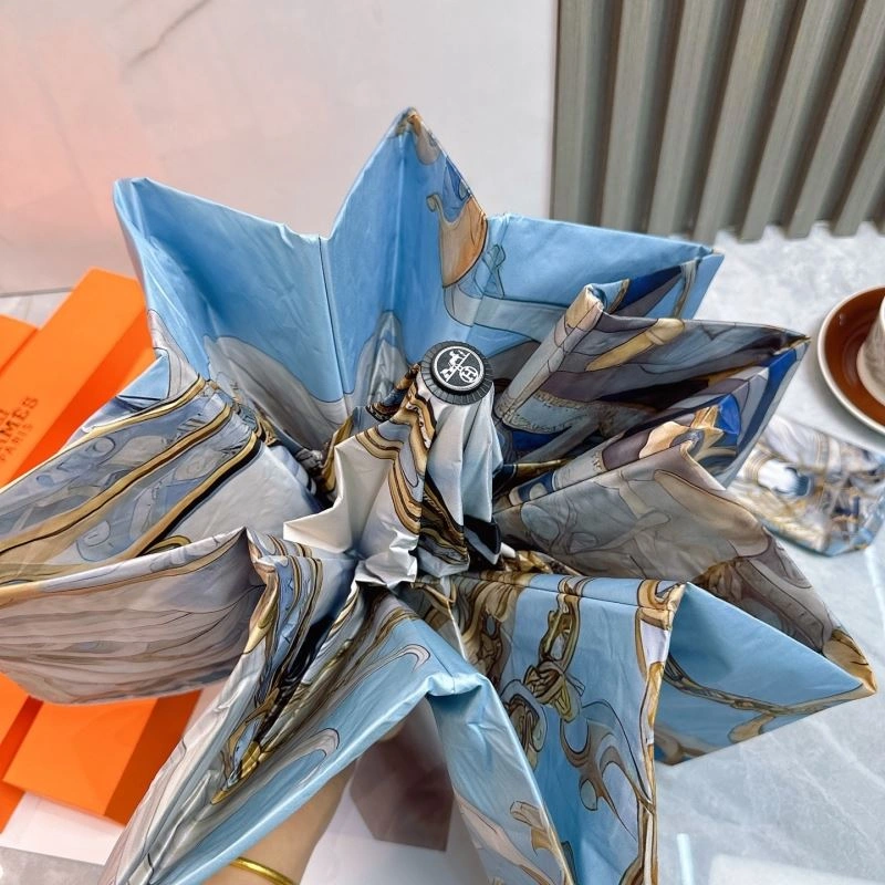 Top mirror Hermes Umbrella
