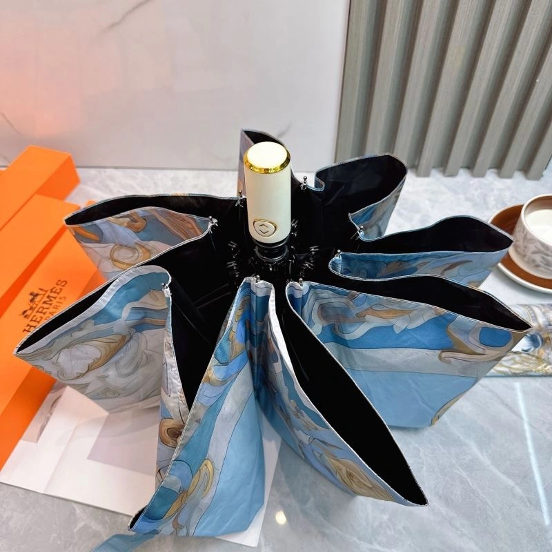 Top mirror Hermes Umbrella