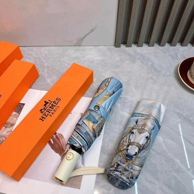 Top mirror Hermes Umbrella
