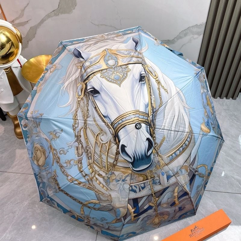 Top mirror Hermes Umbrella