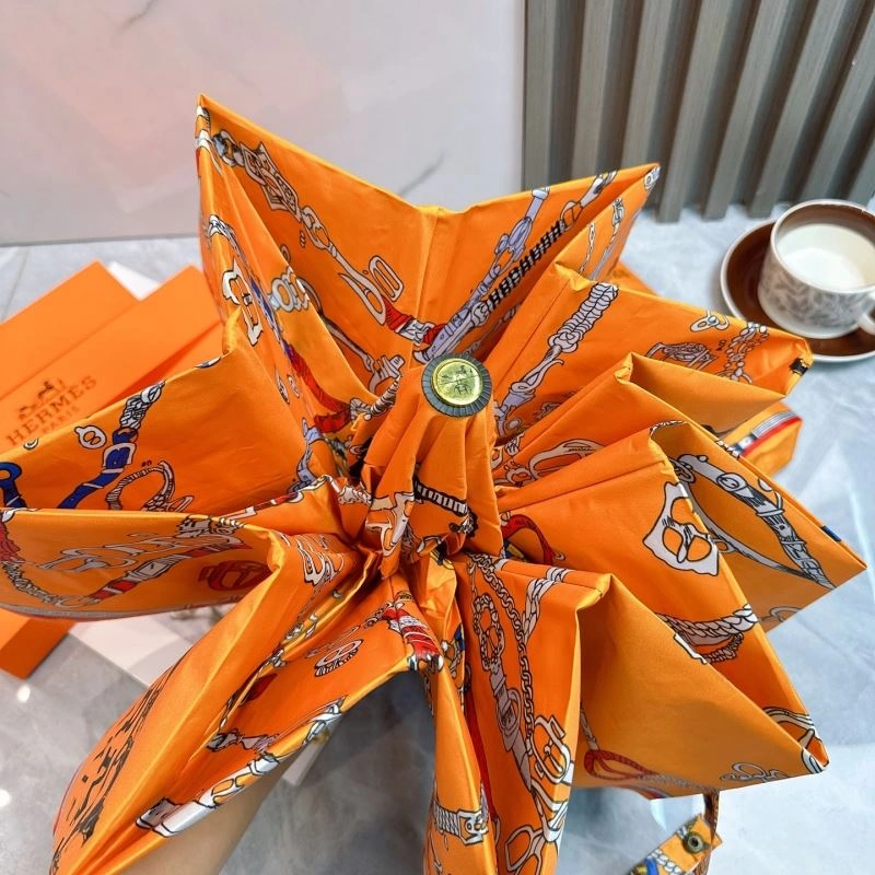 Top match Hermes Umbrella