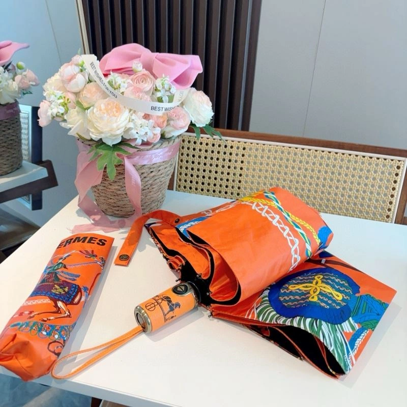 Value-priced Hermes Umbrella