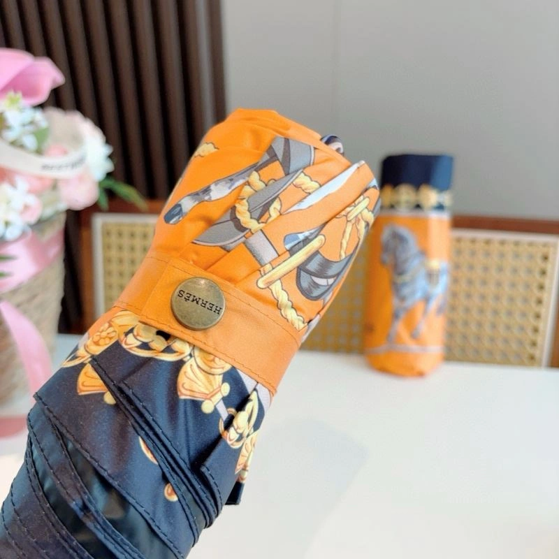 Top mirror Hermes Umbrella