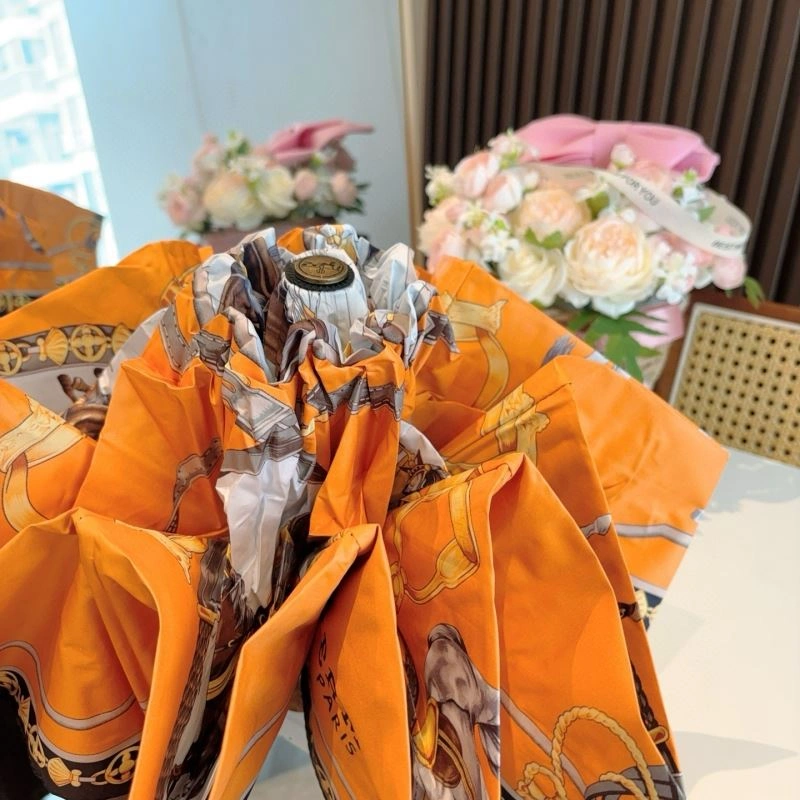Top mirror Hermes Umbrella