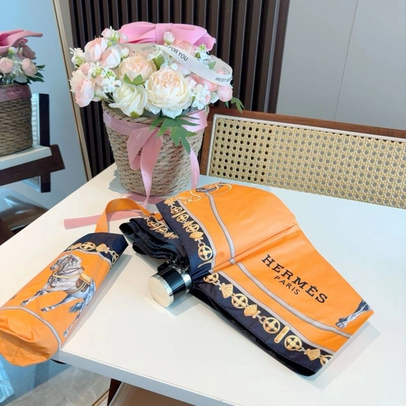 Top mirror Hermes Umbrella