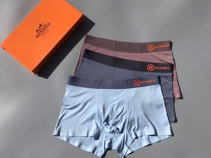 Reasonably priced Hermes Underwear