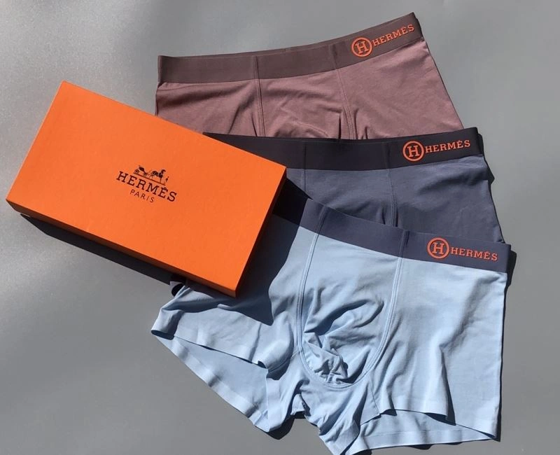 Reasonably priced Hermes Underwear