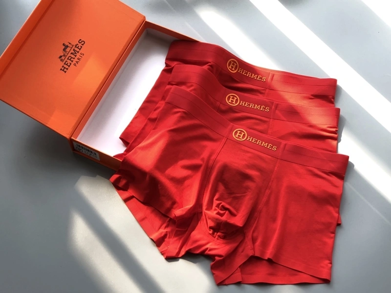 High accuracy Hermes Underwear