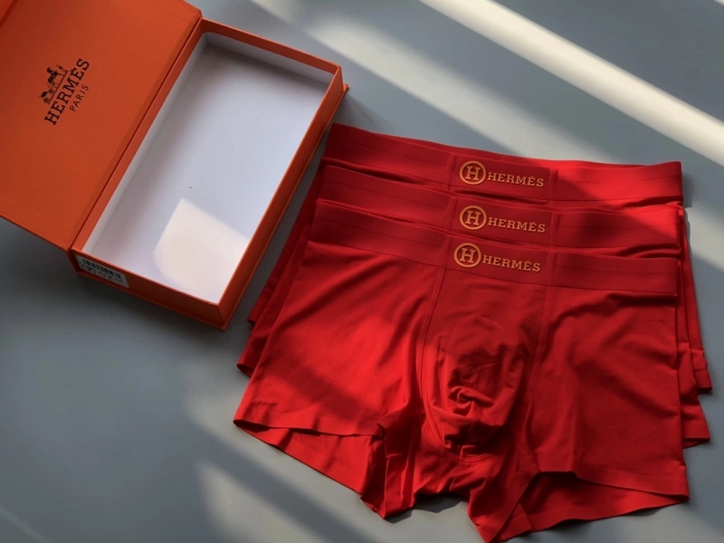 High accuracy Hermes Underwear
