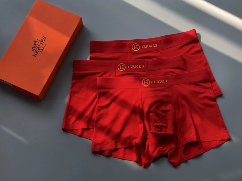 High accuracy Hermes Underwear