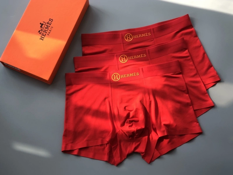 High accuracy Hermes Underwear