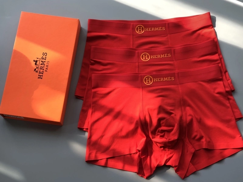 High accuracy Hermes Underwear