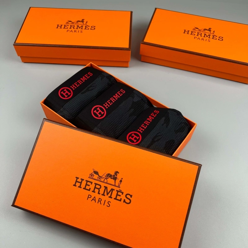 High accuracy Hermes Underwear