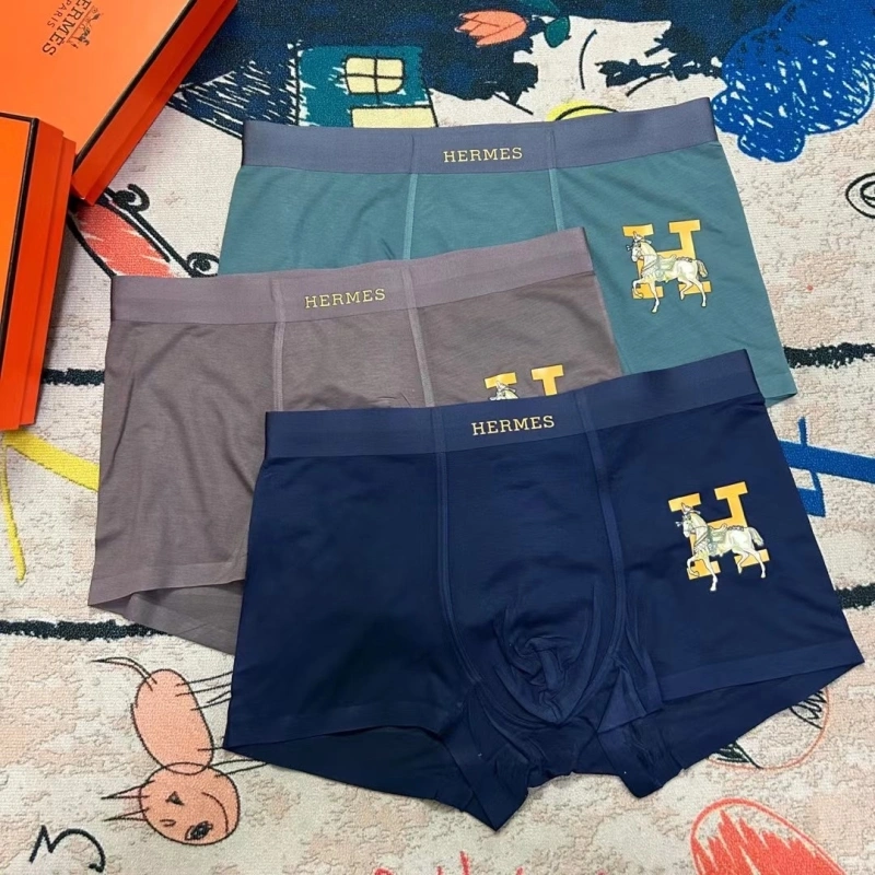 Accurate model Hermes Underwear