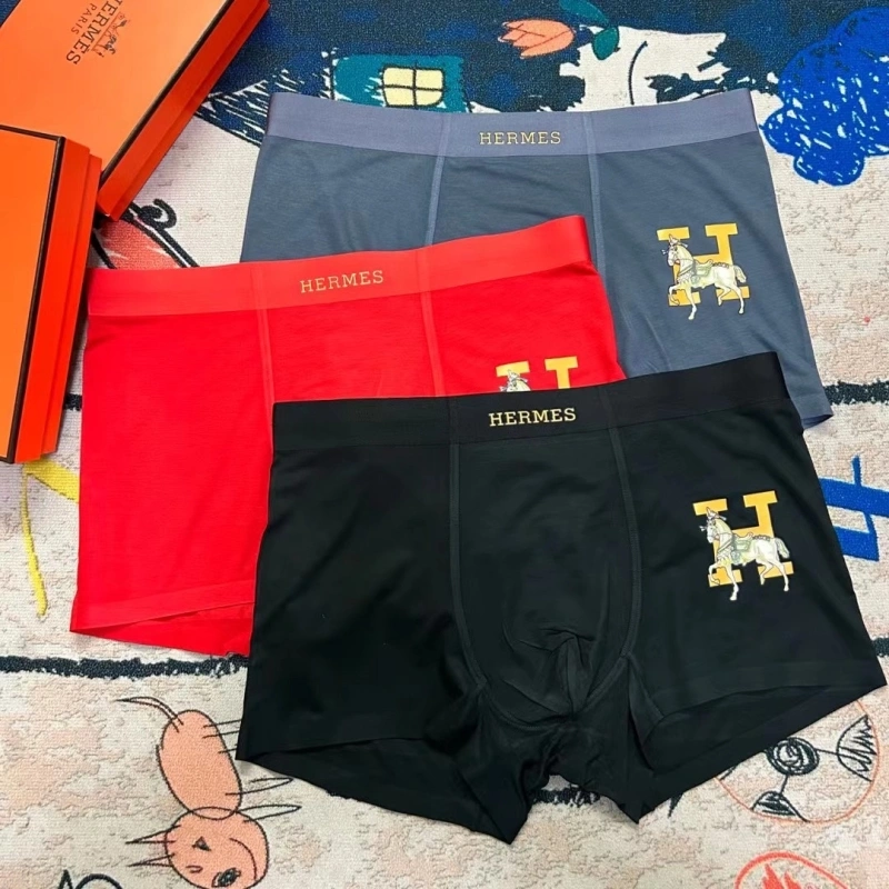 Accurate model Hermes Underwear