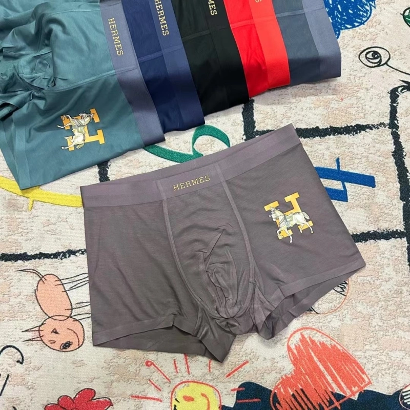 Accurate model Hermes Underwear