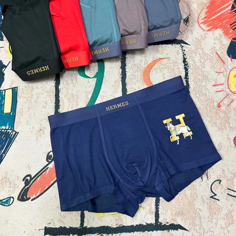 Accurate model Hermes Underwear