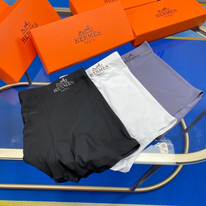 Top match Hermes Underwear