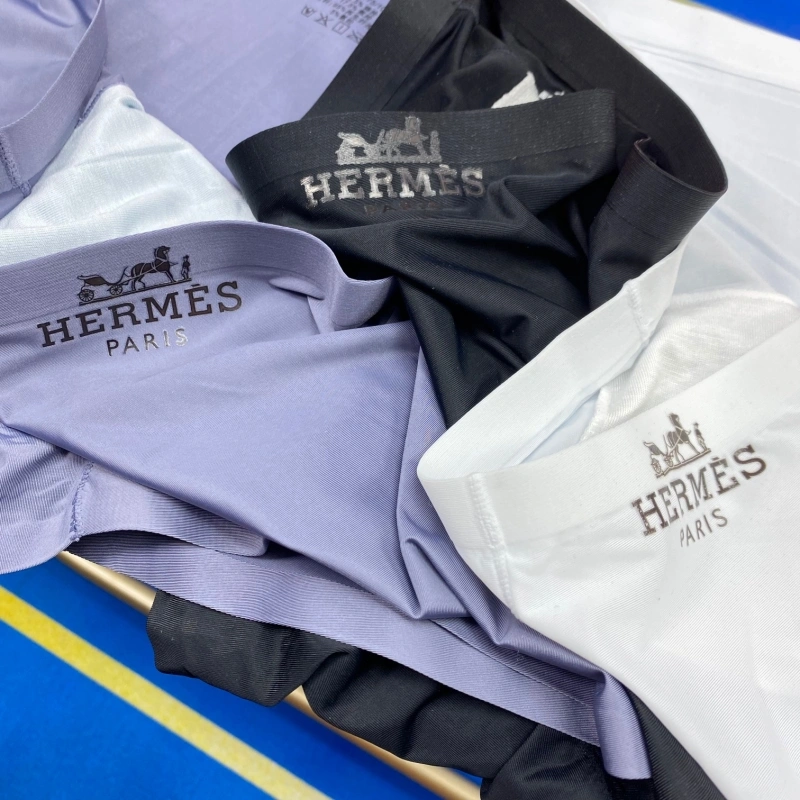 Top match Hermes Underwear