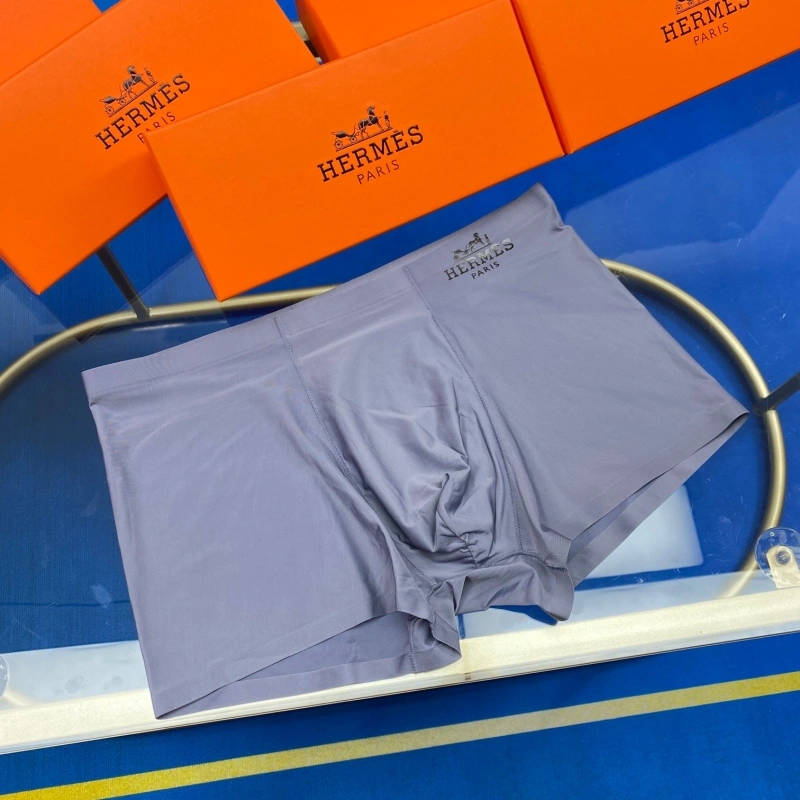 Top match Hermes Underwear