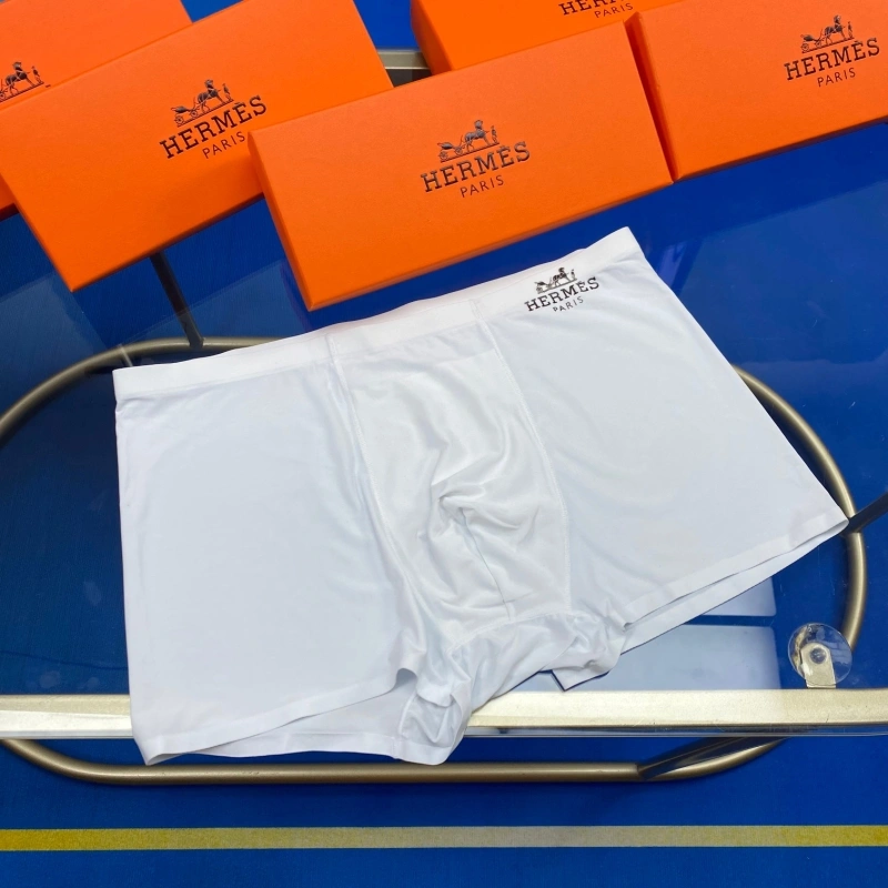 Top match Hermes Underwear