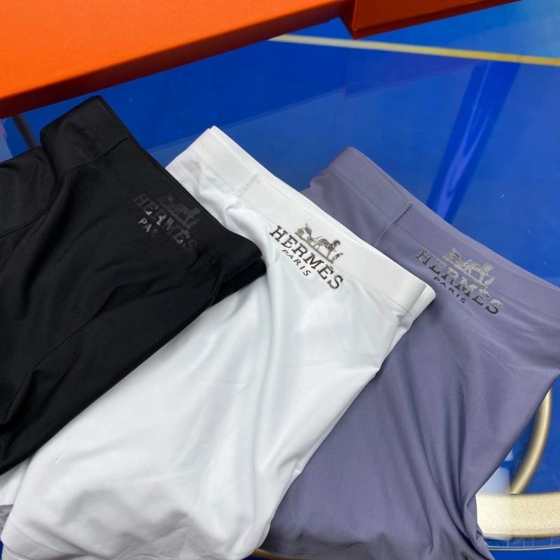 Top match Hermes Underwear
